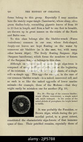 The history of creation, or, The development of the earth and its ...