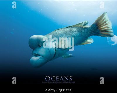 ASIAN SHEEPSHEAD WRASSE, OCEANS, 2009 Stock Photo - Alamy