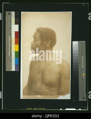 The missing link #1 Stock Photo - Alamy