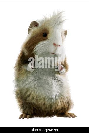 HURLEY, G-FORCE, 2009 Stock Photo - Alamy