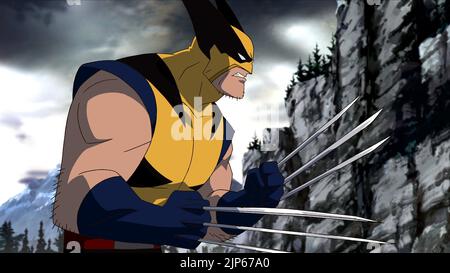 HULK, THOR, HULK VS. THOR, 2009 Stock Photo - Alamy