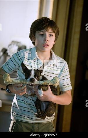 HOTEL FOR DOGS, Jake T. Austin, 2008. ©DreamWorks/courtesy Everett ...