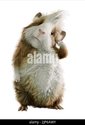 HURLEY, G-FORCE, 2009 Stock Photo - Alamy