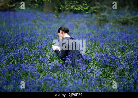 ABBIE CORNISH, BRIGHT STAR, 2009 Stock Photo - Alamy