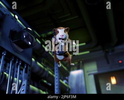 AGENT DARWIN, G-FORCE, 2009 Stock Photo - Alamy