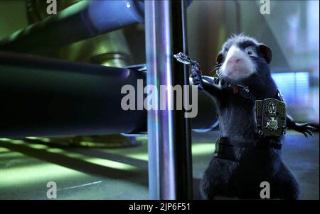 BLASTER, G-FORCE, 2009 Stock Photo - Alamy