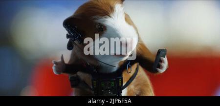 AGENT DARWIN, G-FORCE, 2009 Stock Photo - Alamy