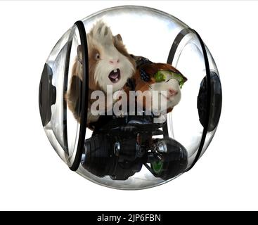 HURLEY,DARWIN, G-FORCE, 2009 Stock Photo - Alamy