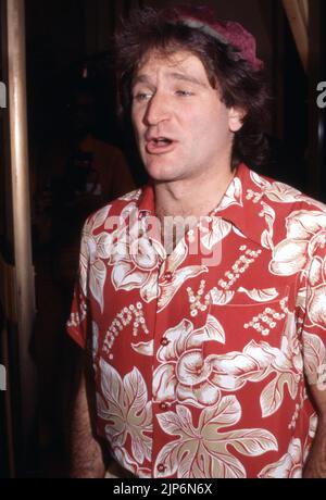 Robin Williams 1979 Credit: Ralph Dominguez/MediaPunch Stock Photo - Alamy