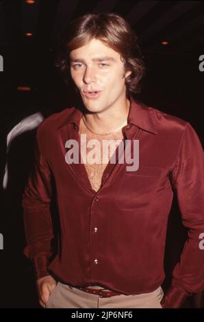 Greg Evigan 1979 Credit: Ralph Dominguez/MediaPunch Stock Photo - Alamy