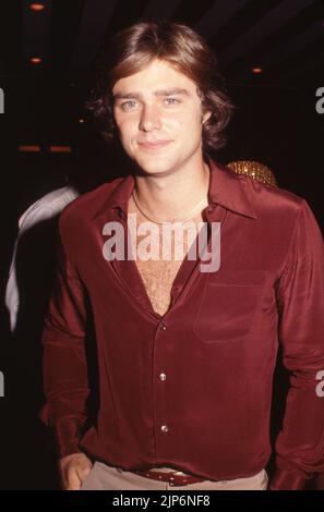 Greg Evigan 1979 Credit: Ralph Dominguez/MediaPunch Stock Photo - Alamy