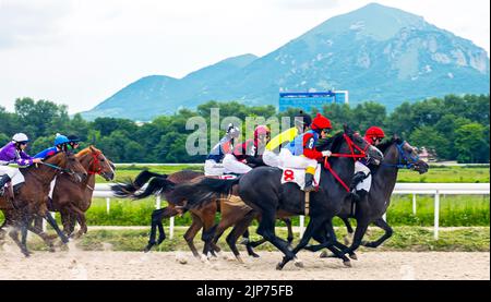 Start gates for horse races for the prize of river Volga,Northern ...