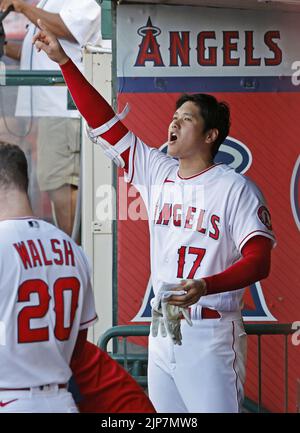Luis Rengifo of the Los Angeles Angels wears a samurai warrior helmet ...