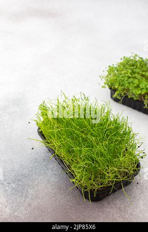 Vegetable greens of arugula and chives, useful microgreen close-up ...