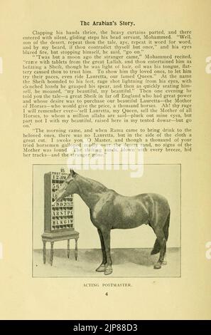 The story of Beautiful Jim Key (Page 5 Stock Photo - Alamy