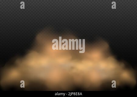 Trace on a dusty road or highway from a car.A cloud of brown dust and ...