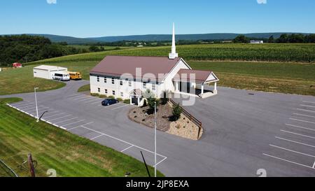 High angle view of a beautiful white and red kitten sitting in the ...