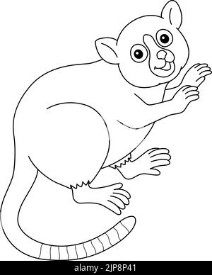 Lemur. Outline drawing. Coloring book. Vector illustration of an animal ...