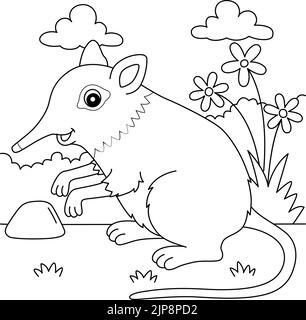 Elephant Shrew Animal Coloring Page Illustration Stock Vector Image ...
