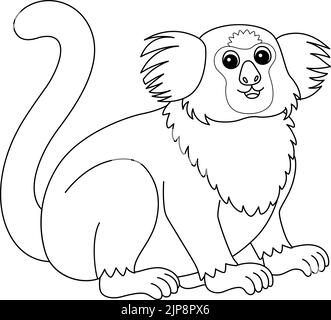 Marmoset Animal Coloring Page for Kids Stock Vector Image & Art - Alamy