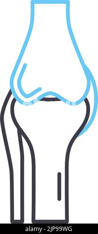 knee-joint sign knee bone human organ anatomy healthcare concept flat ...