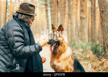 retrieving German Shepherd Stock Photo - Alamy
