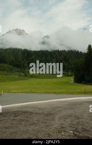 A pathway amidst trees into the woods Stock Photo - Alamy