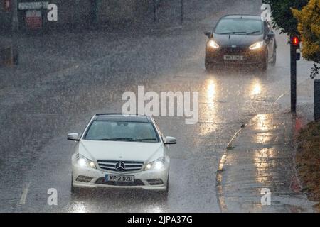 Chippenham, UK, 16th August, 2022. Drivers are pictured braving very ...
