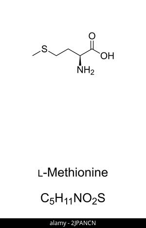 Methionine (Met, M) amino acid molecule. Amino acids are the building ...