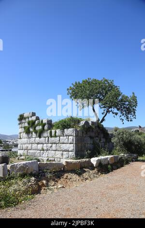 Historic site of Myndos gate the only surviving gate of the ancient ...