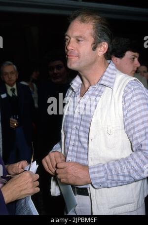 Max Gail Credit: Ralph Dominguez/MediaPunch Stock Photo - Alamy