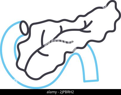 Line Art Human Stomach and Pancreas Icon, Medical Illustration Stock ...