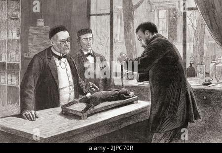 Louis Pasteur (1822-1895) in laboratory, working on hydrophobia (rabies ...