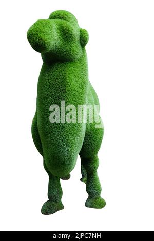 camel made of grass isolated on a white background. High quality photo ...