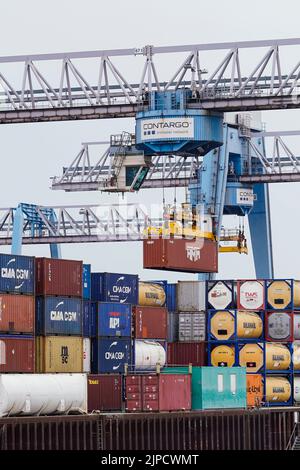 Ludwigshafen, Germany. 17th Aug, 2022. Containers pile up in the ...