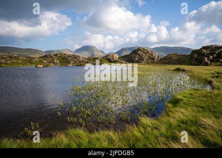 View of Innominate Tarn overlooked by Green Gable and Great Gable ...