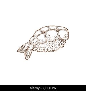 ebi nigiri icon Stock Vector Image & Art - Alamy