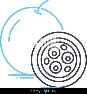 pomegranate cut ripe slice line icon vector illustration Stock Vector ...