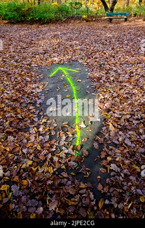 autumn leaves, directional arrow, leaf, directional arrows Stock Photo ...