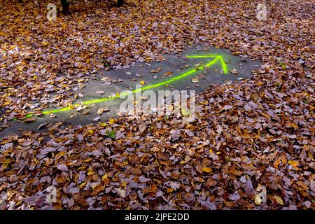 autumn leaves, directional arrow, leaf, directional arrows Stock Photo ...