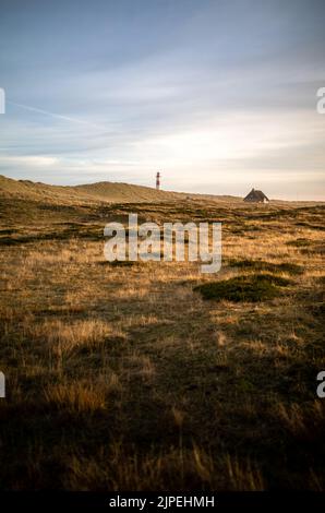 Lighthouse List-Ost surrounded by Nature on Ellenbogen, Sylt, Germany ...