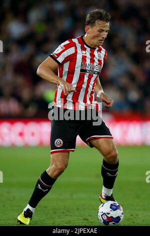 Sander Berge #8 of Sheffield United celebrates his goal to make it 0-1 ...