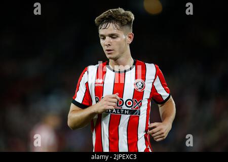 James McAtee #28 of Sheffield United has an effort on goal during the ...