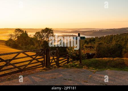 Sunrise, Taw Valley, High Bickington, North Devon, England, United ...