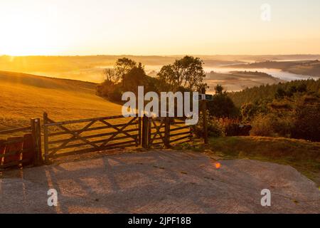 Sunrise, Taw Valley, High Bickington, North Devon, England, United ...
