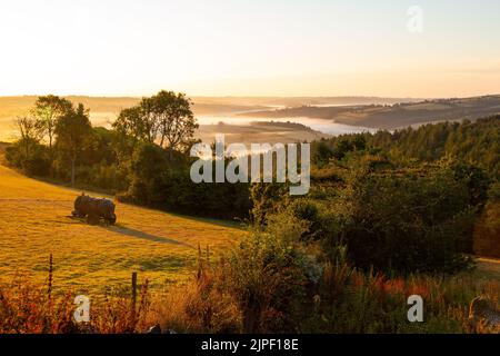Sunrise, Taw Valley, High Bickington, North Devon, England, United ...