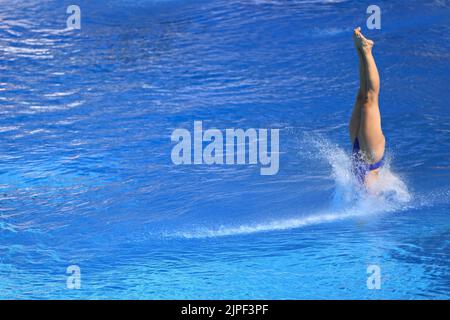 ROME, ITALY - AUGUST 17: Else Praasterink of The Netherlands during the ...