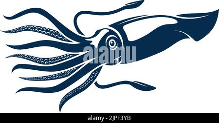 Blue hooked squid with tentacles isolated underwater animal. Vector ...