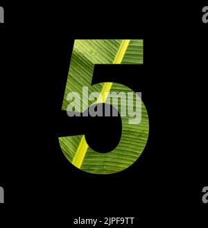Number 3, digit on banana plant leaf background Stock Photo - Alamy