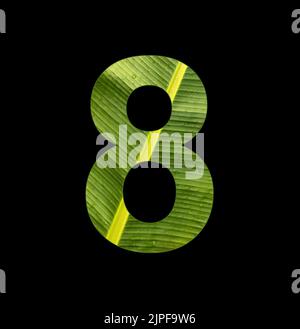 Number 5, digit on banana plant leaf background Stock Photo - Alamy